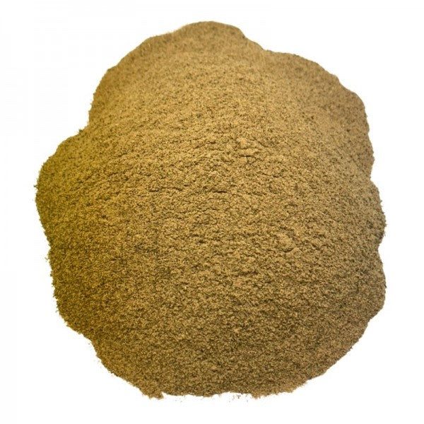 Benefits of Babul Seed / Nep Nep Seed Powder - Wholesale B2B Bulk Supp ...