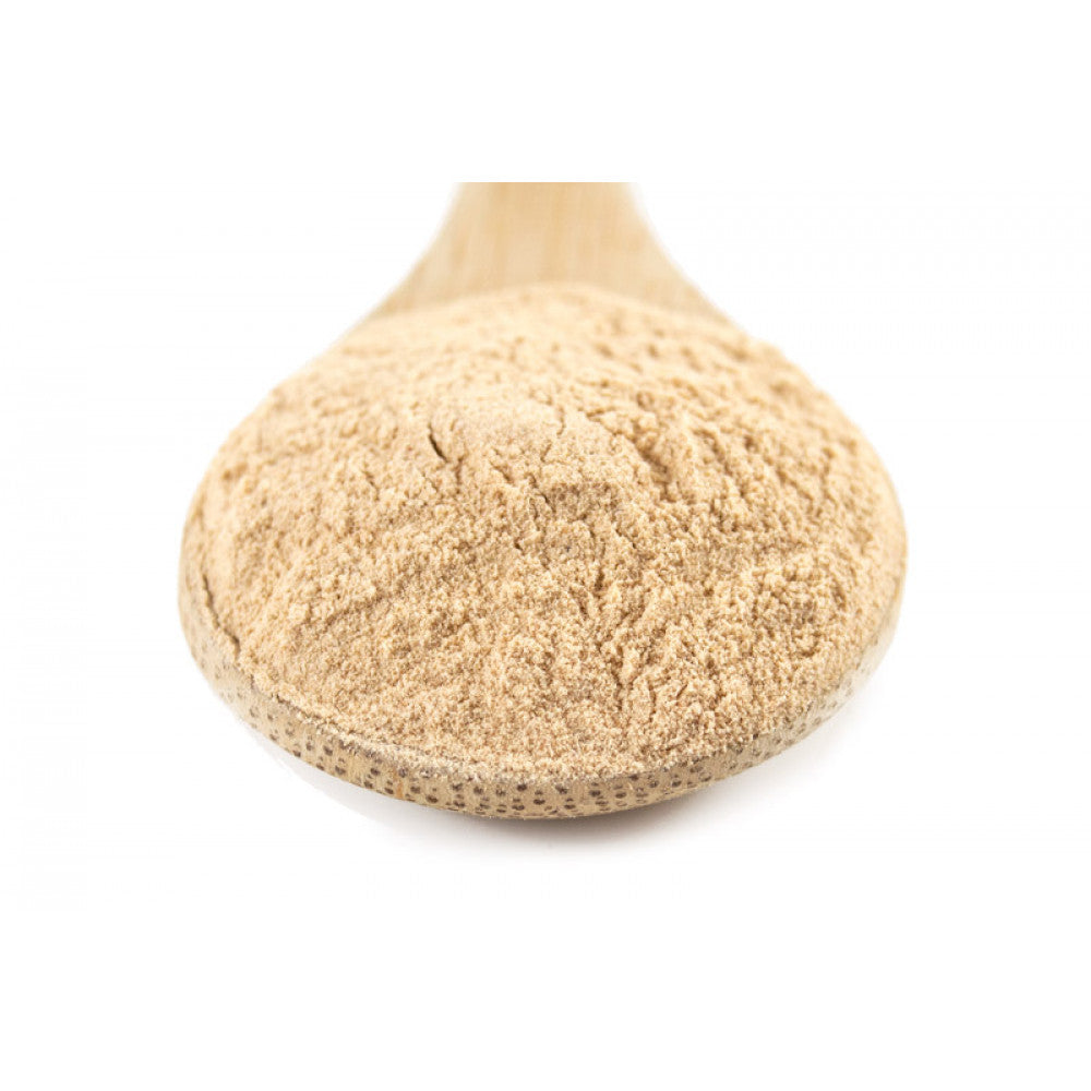 Benefits of Brazil Nuts Powder - Wholesale B2B Bulk Suppliers ...