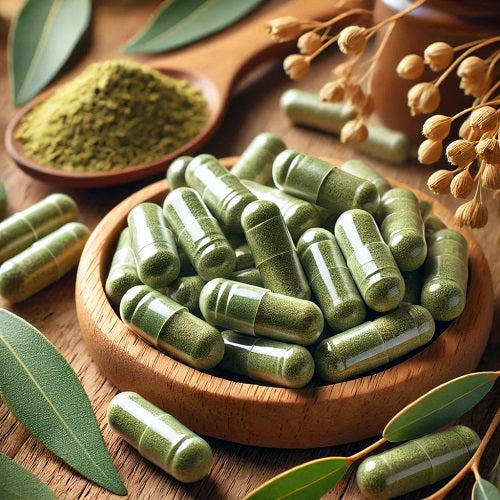 Benefits Of Eucalyptus Capsules - Wholesale B2B Bulk Suppliers – Medikonda Nutrients