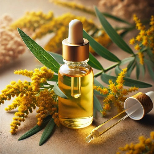 Benefits Of Goldenrod Essential Oil - Wholesale B2B Bulk Suppliers ...