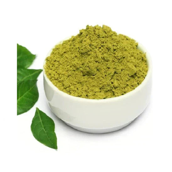 Benefits of Guava leaf Powder - Wholesale B2B Bulk Suppliers in USA - Medikonda Nutrients