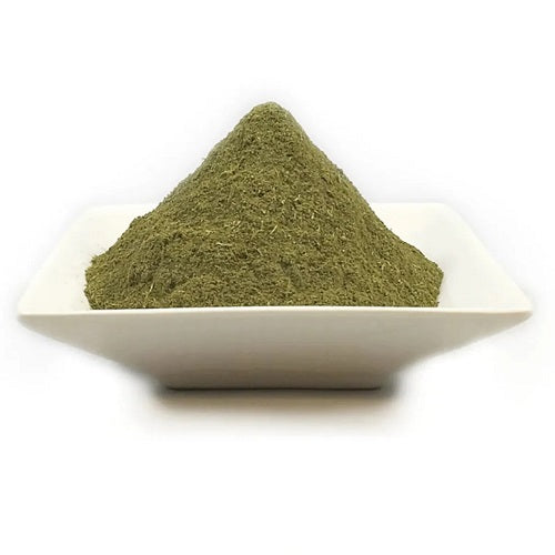 Benifits Of Matico Extract Powder - Wholesale B2B Bulk Suppliers in Eu ...