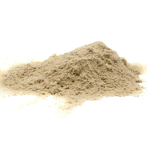 Benefits of Ash Gourd Powder - Wholesale B2B Bulk Suppliers – Medikonda ...