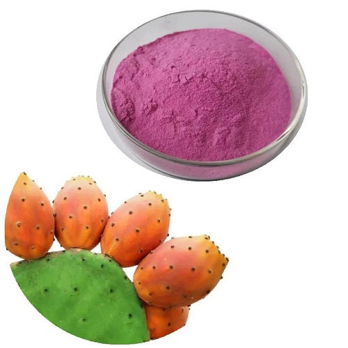 Benifits Of Prickly Pear Extract Powder - Wholesale B2B Bulk Suppliers ...