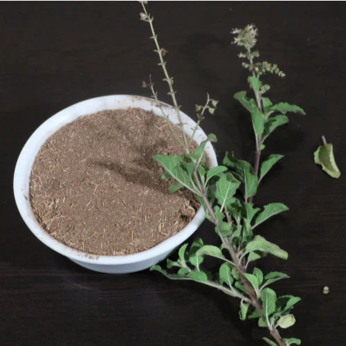 Benefits of Tulsi Powder: Nature's Anti-Inflammatory Elixir - Medikonda ...