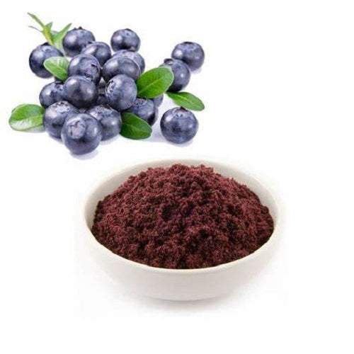 Benefits of Bilberry Juice Powder - Wholesale B2B Bulk Suppliers ...