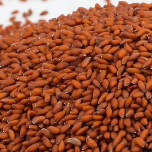Benefits of Red Cress Seeds - Wholesale B2B Bulk Suppliers in USA ...