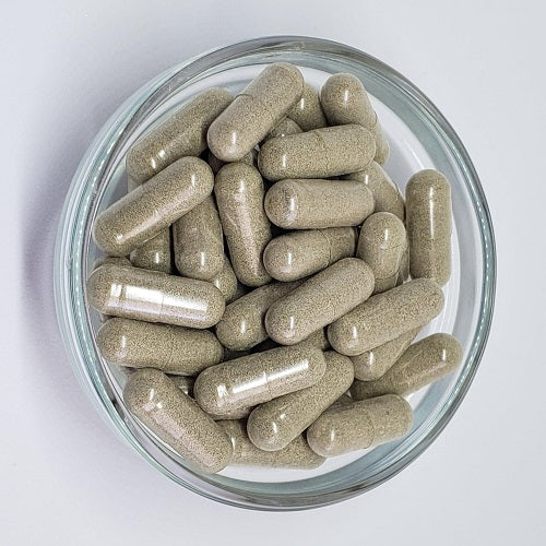 Benefits Of Blue Vervain Capsules - Wholesale B2B Bulk Suppliers – Medikonda Nutrients