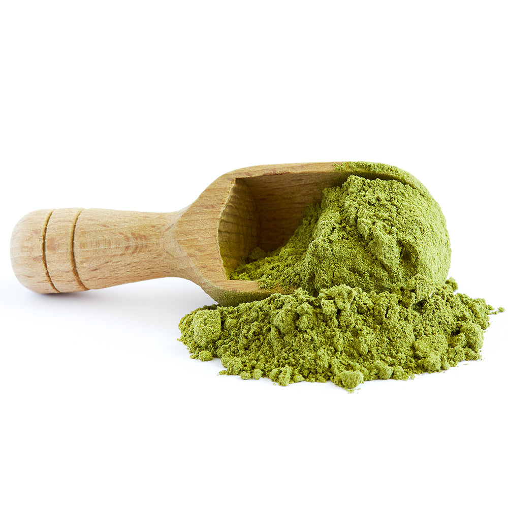 Moringa Powder USA – Medikonda Nutrients