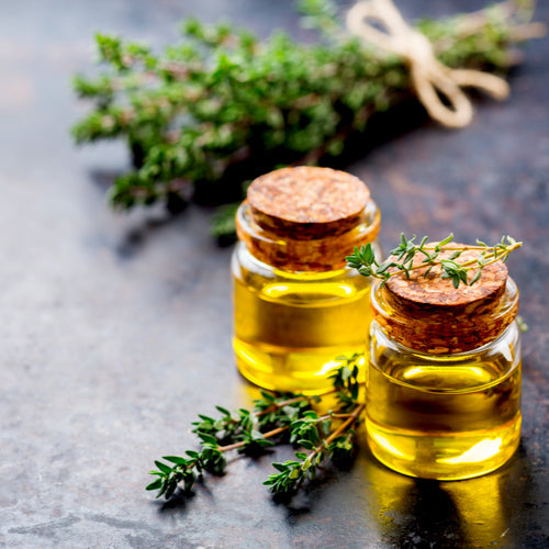 Benefits of Tea Tree Essential Oil - Wholesale B2B Bulk Suppliers in U - Medikonda Nutrients