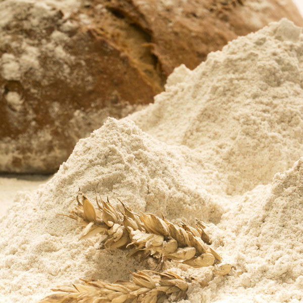 Benefits of Rye Flour in Europe - Wholesale B2B Bulk Suppliers in Euro - Medikonda Nutrients