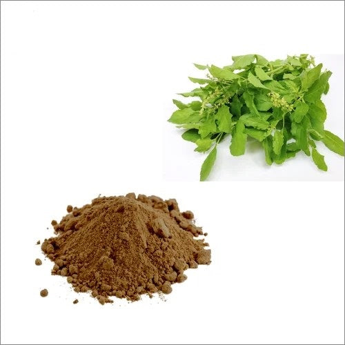 How to Extract from Tulsi Powder: An Educational Guide – Medikonda ...