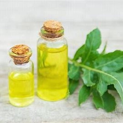 Taramira Oil Manufacturers Wholesale Bulk Suppliers in USA - Medikonda ...