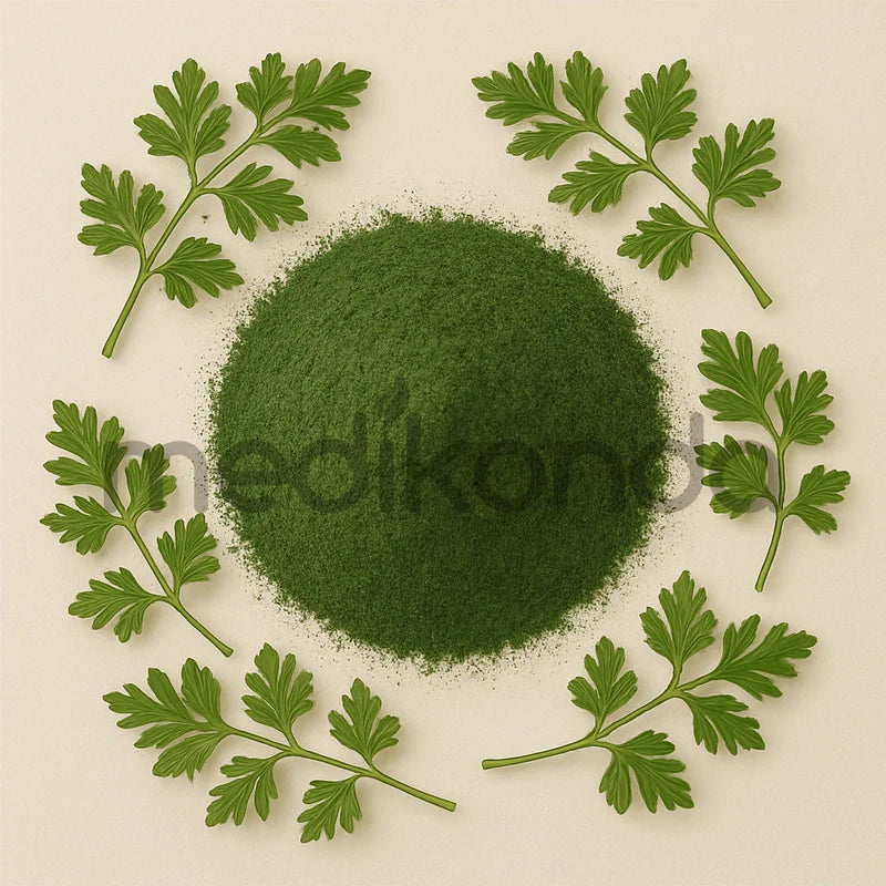 Chervil Powder Manufacturers Wholesale Bulk Suppliers in USA ...