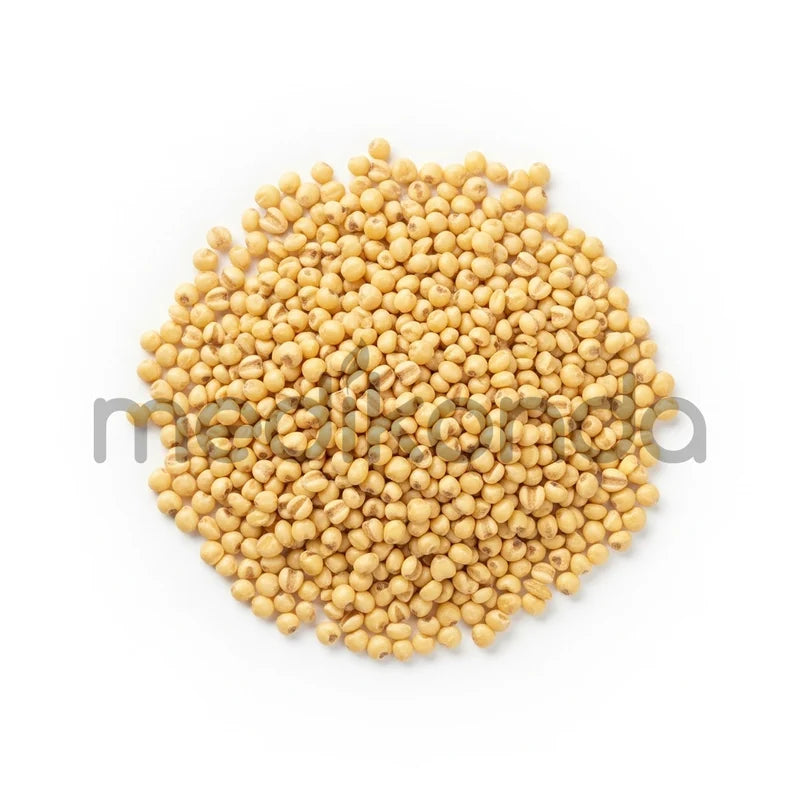 Kangani Millet Seeds Manufacturers Wholesale Bulk Suppliers in USA ...