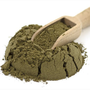 Bladderwrack Powder Manufacturers Wholesale Bulk Suppliers in USA - Medikonda Nutrients