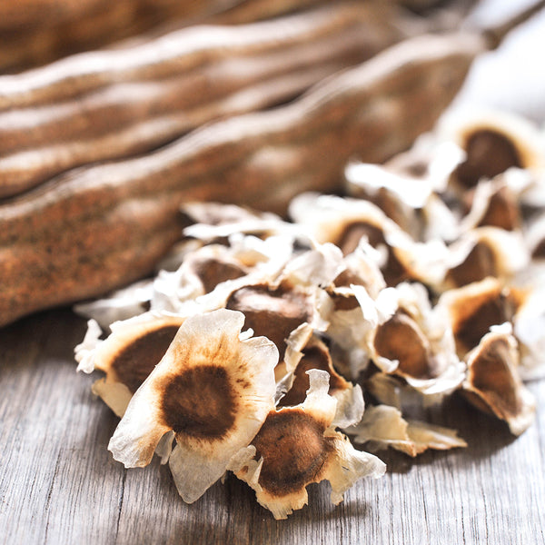 Moringa Seeds with Wings Manufacturers Wholesale Bulk Suppliers in USA - Medikonda Nutrients